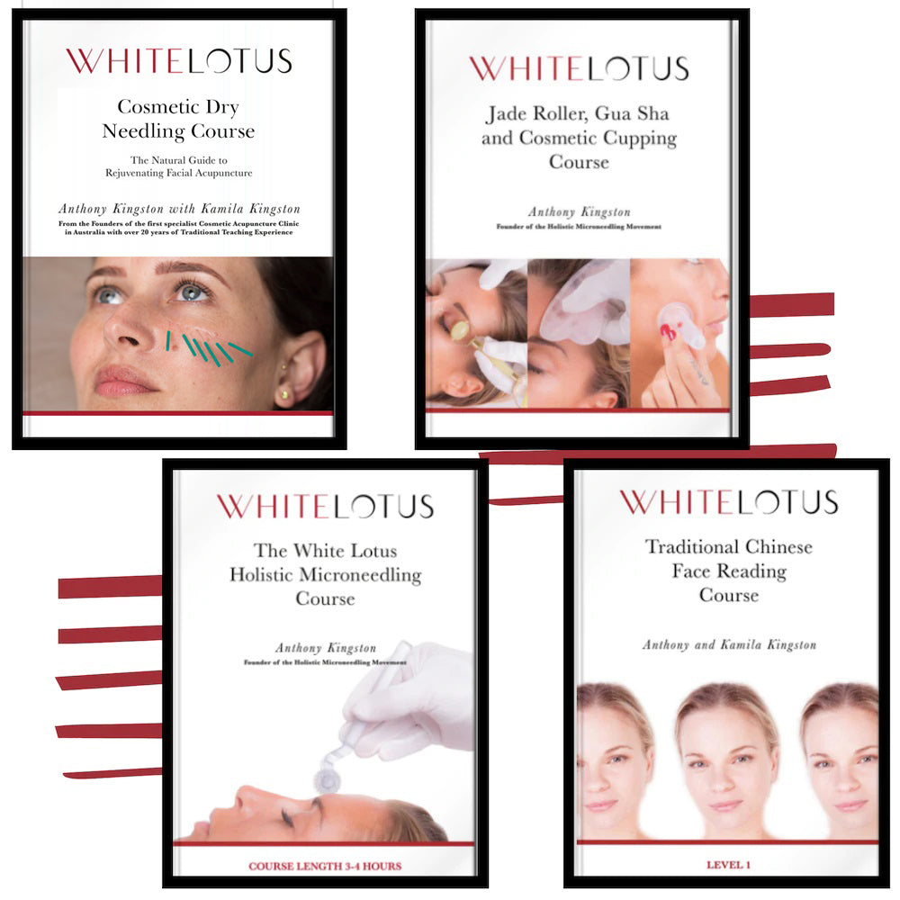 4 Course Dry Needling Online Training Bundle | White Lotus
